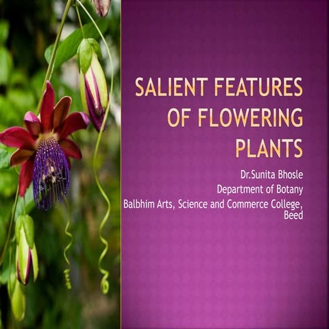 Salient features of flowering plants | PPT