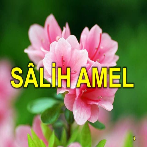 SÂLİH AMEL | PPTX