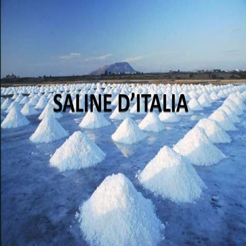 Saline d italia lina e alessia | PPTX