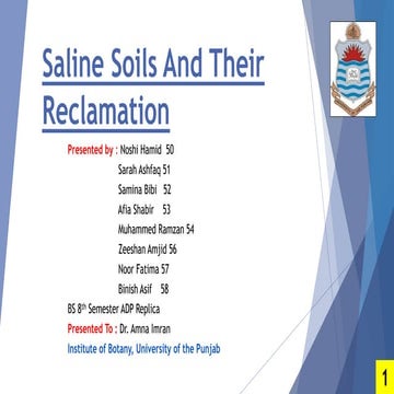 Salinity and Types of Salinity | PPTX