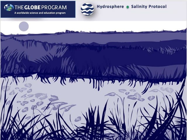 Salinity | PPT | Chemistry | Science