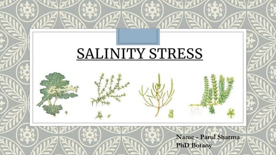 Salinity and Types of Salinity | PPTX | Agriculture | Industries
