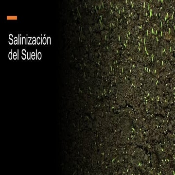 salinizacion del suelo .pdf