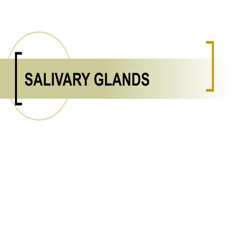 salivary-glands-I (1).ppt salivary gland presentation | PPT