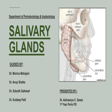 Salivary gland.pptx