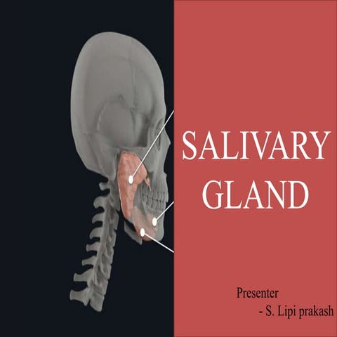 Salivary gland and its importance in dentistry | PPTX