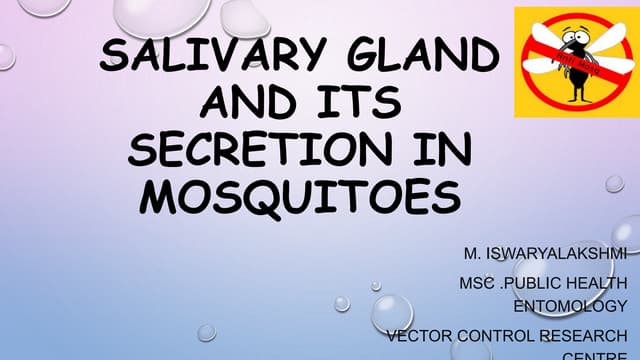 Glandular system in insects | PPTX