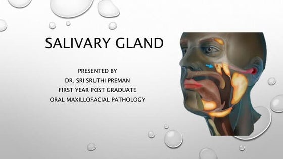 Handout of Salivary Glands Histology | PDF | Dental Health | Diseases ...