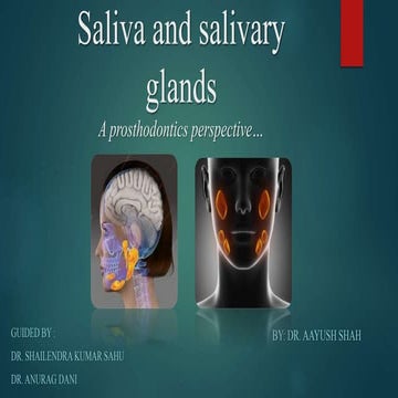 Salivary Glands Function Salivary Gland Function, Development, And