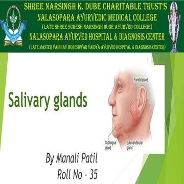 Salivary glands pptx for Bams students 2 | PPT
