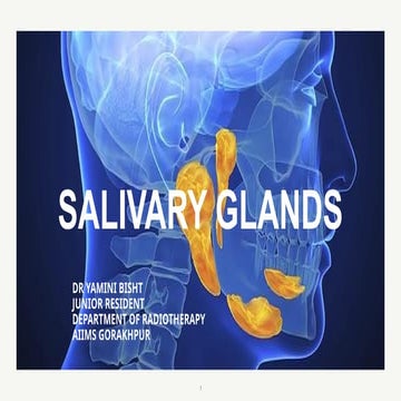 Salivary glands rad onco salivary glands.pptx