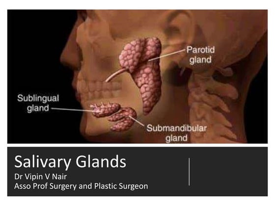 Salivary glands in our body that secrets saliva.pptx