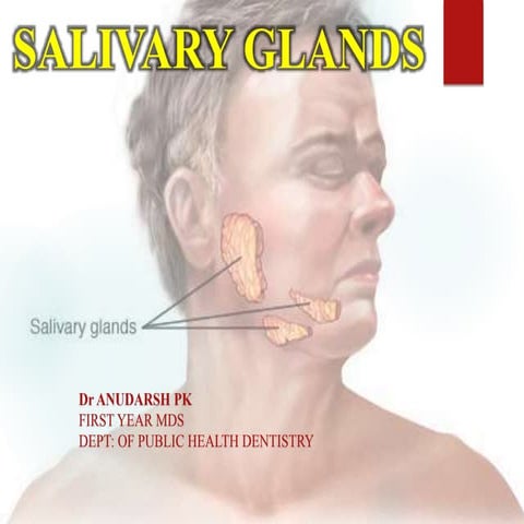 Salivary glands | PPTX