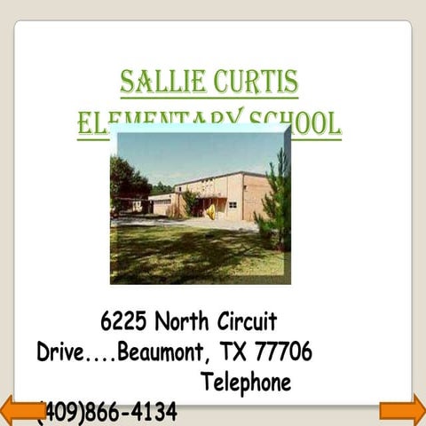 Sally Curtis Elementary School Analysis 2 | PPTX