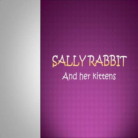 Sally rabbit | PPT