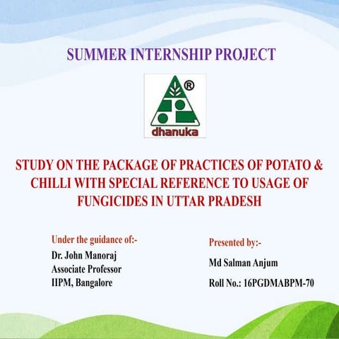 Summer Internship Presentation by Salman | PPTX