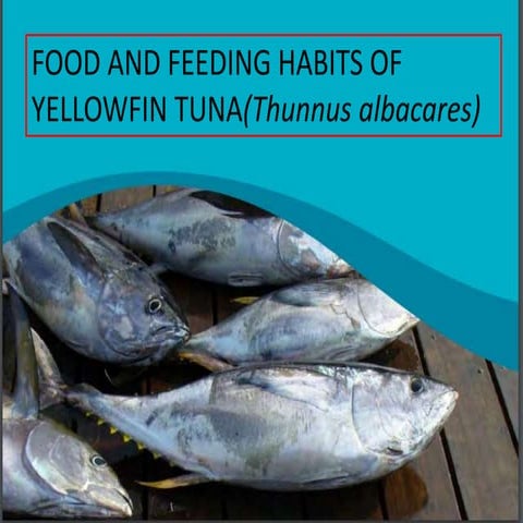 Food and Feeding habits of yellowfin tuna | PPTX