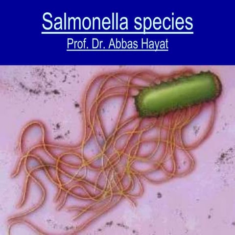 Microbiology flowchart.pdf