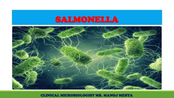 SALMONELLA TYPHI - MEDICAL BACTERIOLOGY | PDF
