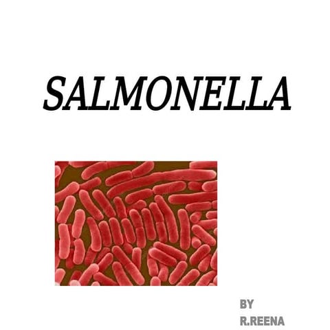 Salmonella typhi bacteria with all details | PPTX
