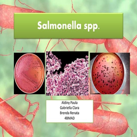 Salmonella trab | PPTX | Infectious Diseases | Diseases and Conditions