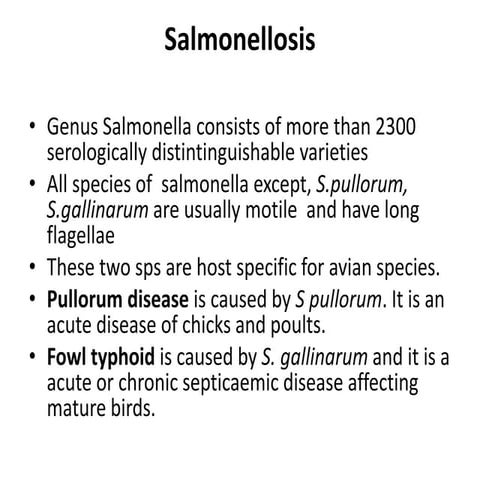 Salmonellosis | PPTX