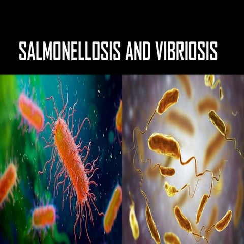 Salmonellosis_and_vibriosis pathogenesis symptoms treatments | PPTX