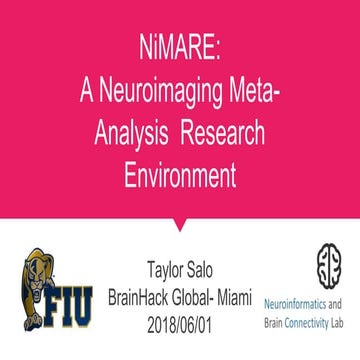 nimare-brainhack-global-miami | PPT