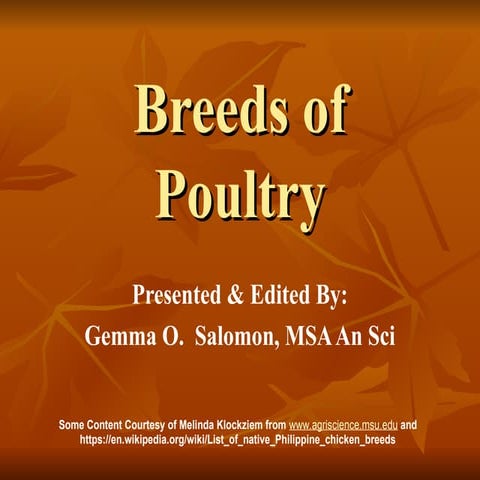 Philippine Native Chicken: The BANABA NATIVE CHICKEN of CALABARZON | DOCX