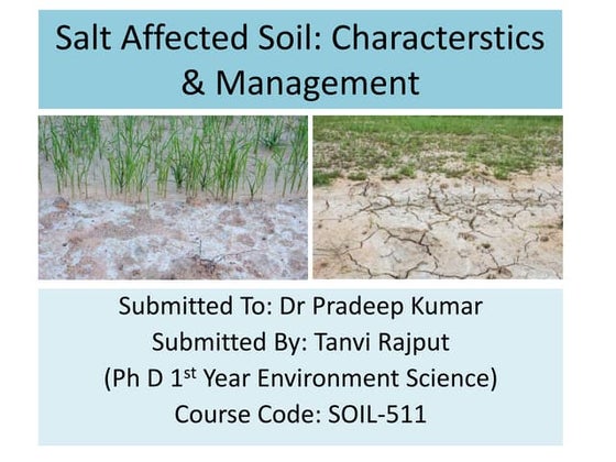 Nutrient Management in Salt Affected Soil | PPTX | Agriculture | Industries