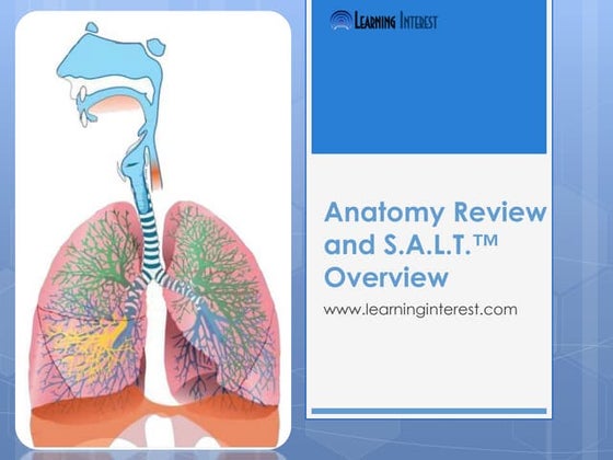 Weibel’s model of airways | PPTX | Lung and Respiratory Health ...