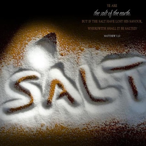 You_Are_the_Salt_of_the_Earth_Bible_Study.pptx