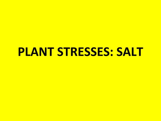 Salt stress and its regulation in plants ppt.pptx