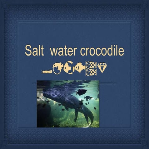 Salt Water Crocodiles by James | PPT