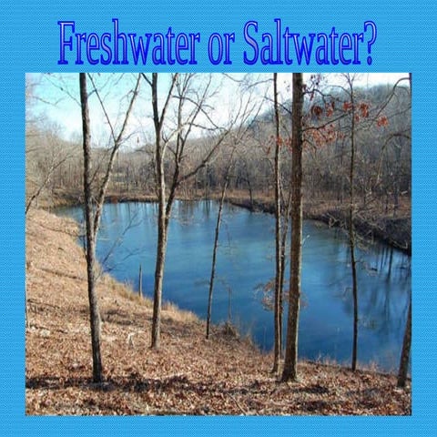 Saltwater vs. Freshwater | PPT