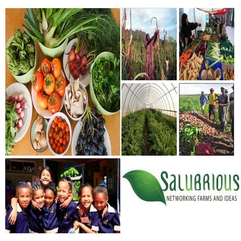 HULT Prize - Team Salubrious | PPTX