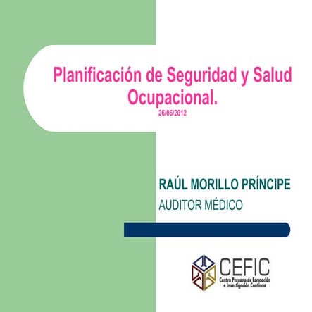 PROGRAMAS SST Y AMBIENTALES.pdf