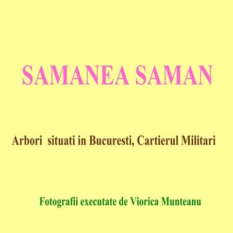 Samanea saman | PPS