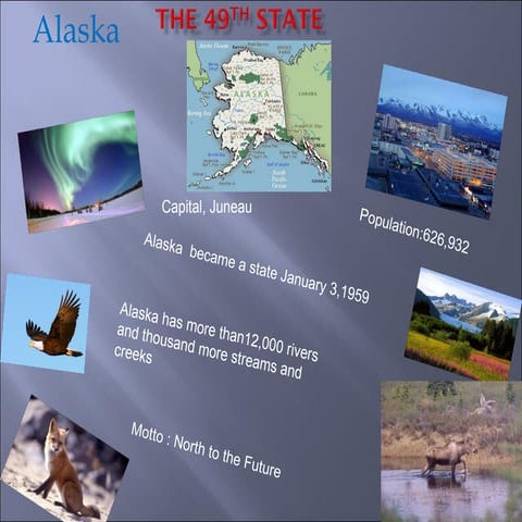 Elijah of-buxton.ppt