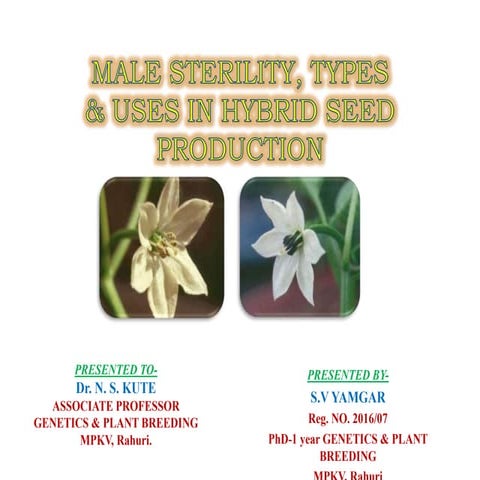 male sterility system and its exploitation in monocot and Dicot plant ...