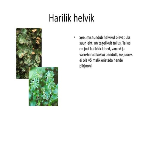 Samblad | PDF