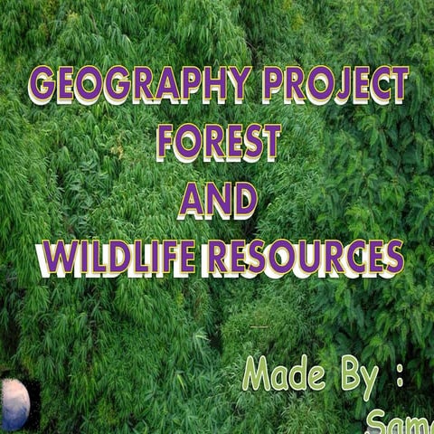 Forest And Wildlife Resources - $@mEe | PPTX
