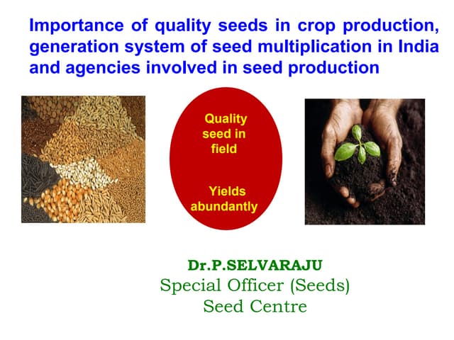 Classes of Seeds / Classification of Seeds / Category of Seeds | PPTX