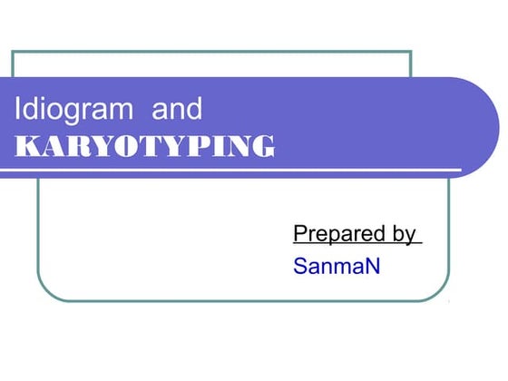 Human Karyotype ( Chromosomes) | PPTX | Biological Sciences | Science