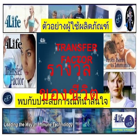 Sample 4 lifeyes | PPT