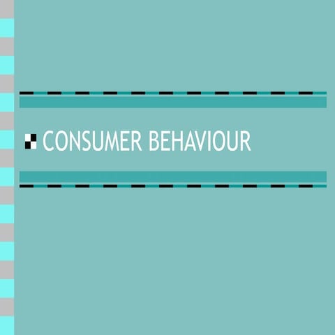 Sample Presentation on Consumer Behavior | PPT