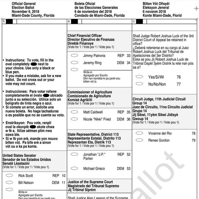 FL Election Sample ballot November 2018 Miami Beach | PDF | Personal ...