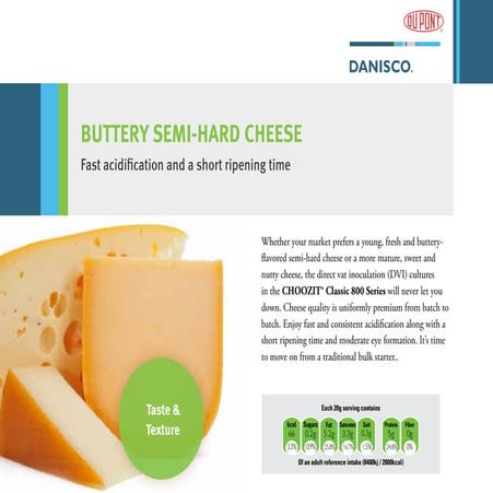 Buttery Semi-Hard Cheese - CHOOZIT® Classic 800 Series | Sample card | PDF