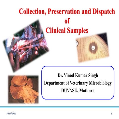 Collection, Preservation and Dispatch of Clinical Samples | PPTX