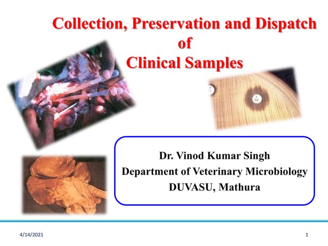 Forensic Sample Collection and Preservation.pptx